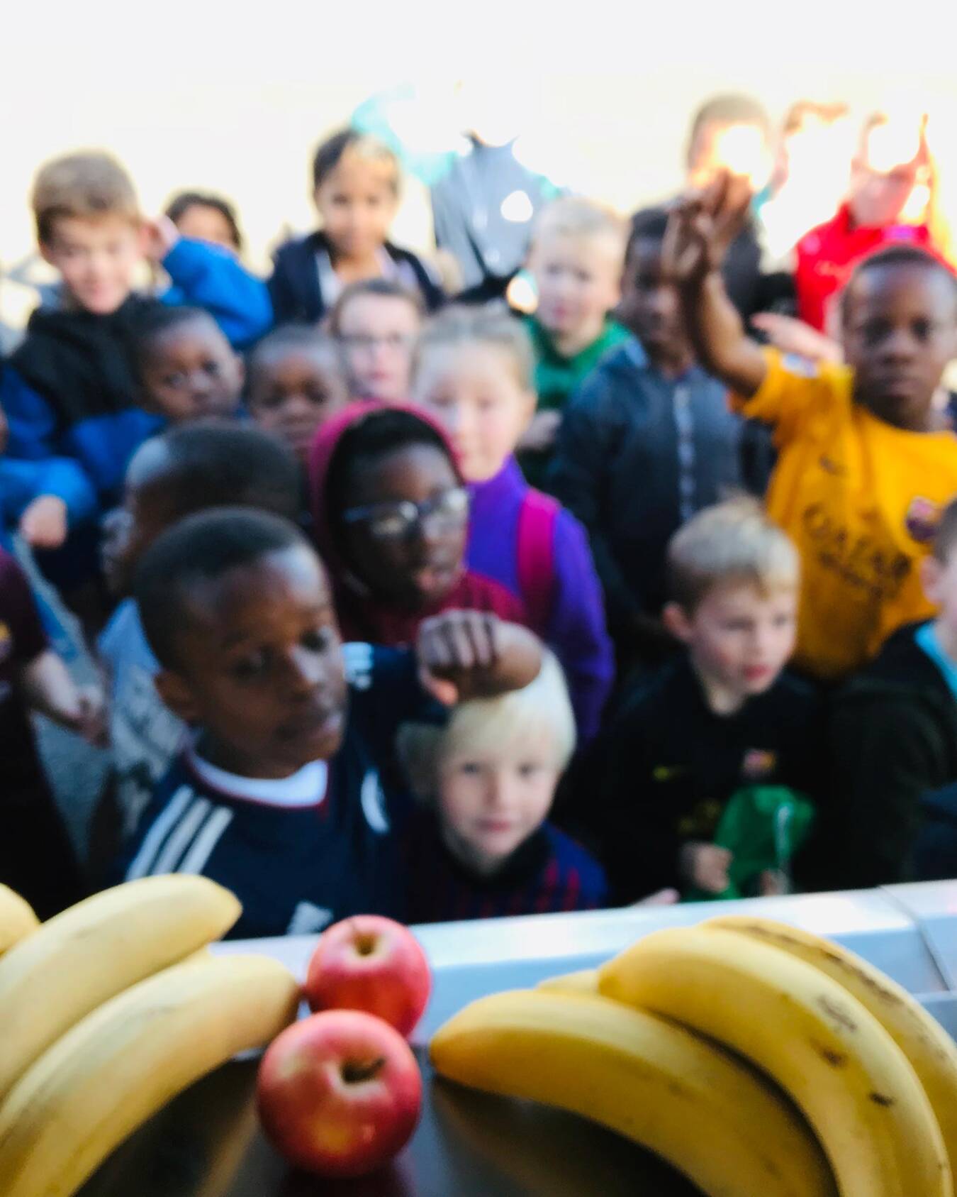 Who We Are | Launch Foods