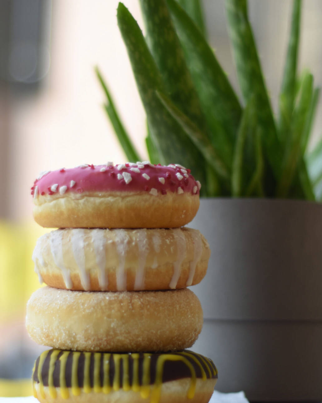 Who We Are | Launch Foods